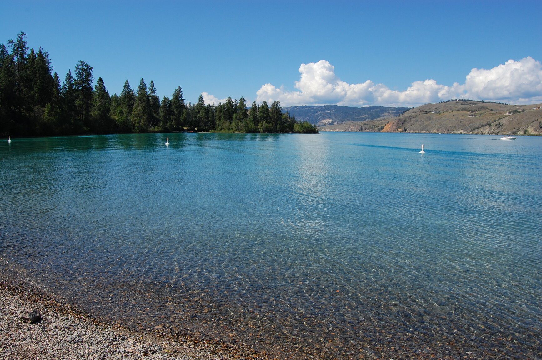 Kalamalka Lake Park | BC Parks