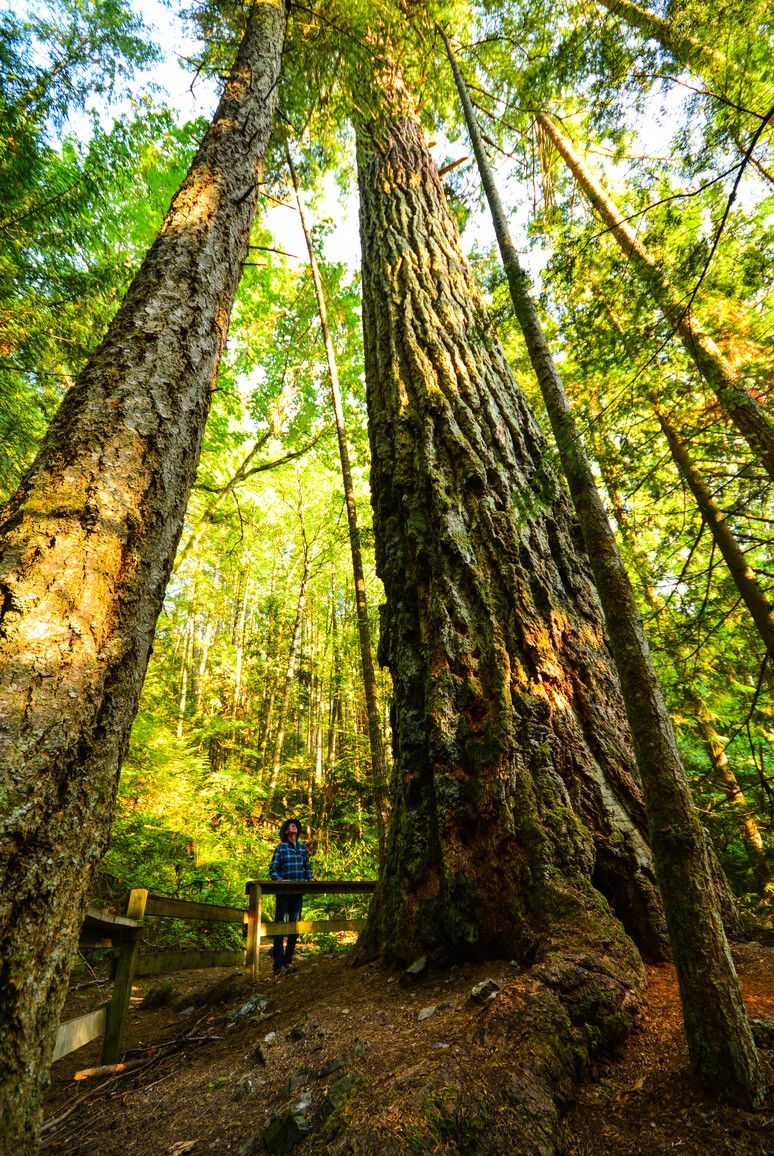 Cultus Lake Park | BC Parks