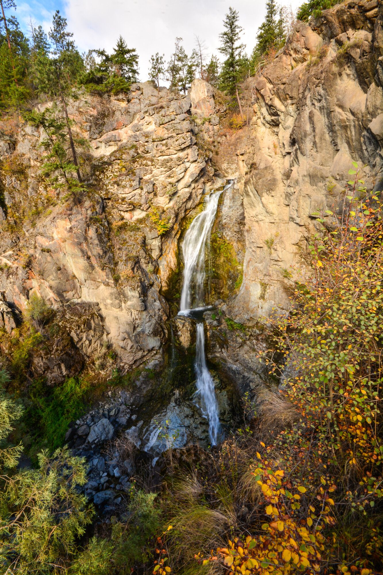 Fintry Park | BC Parks