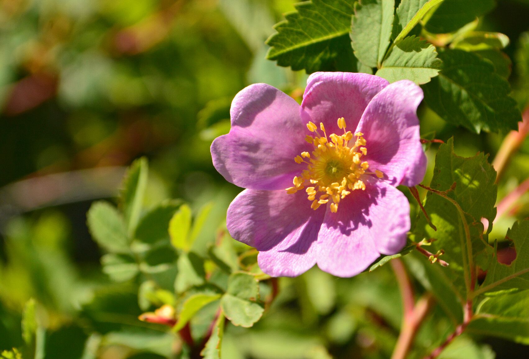 Monck Park | BC Parks