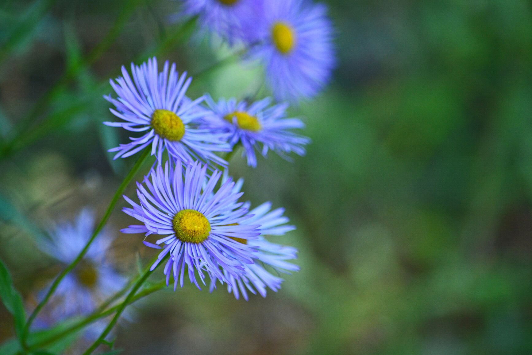 Monck Park | BC Parks