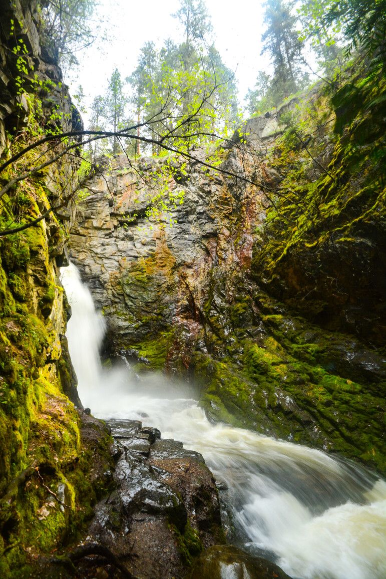 Syringa Park | BC Parks